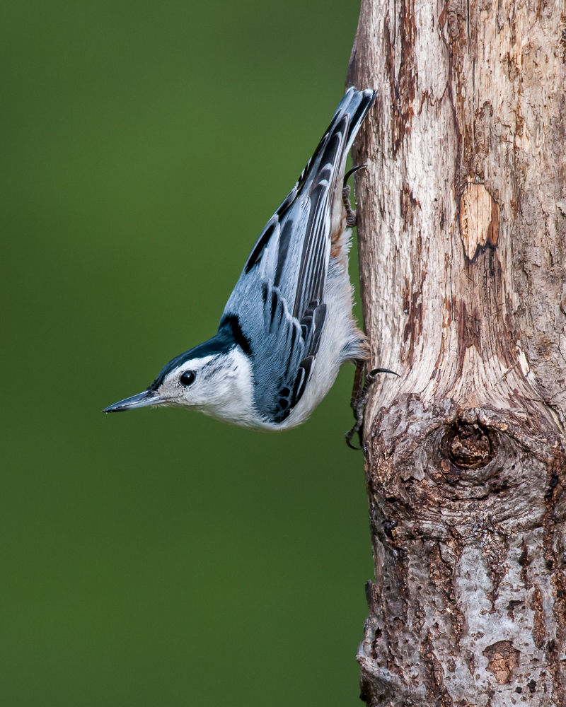 Rangeley Lake « Photographs by Frank